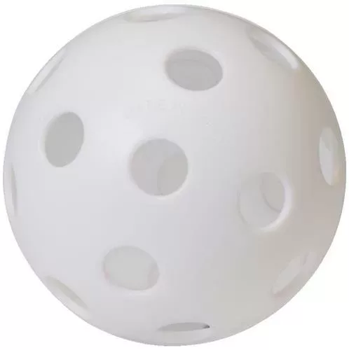 Pronine Sports 12" Plastic Training Balls | Bangin' at the Barn
